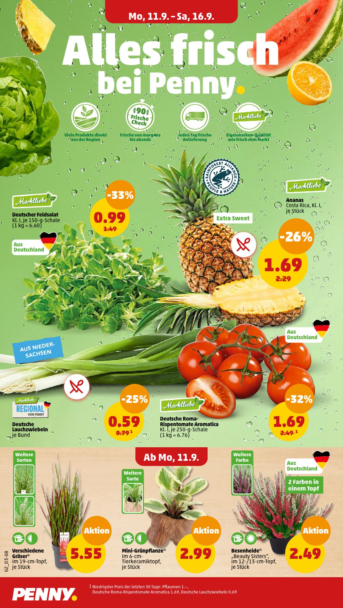 Penny Prospekt 11 - 16 September 2023 - WProspekte