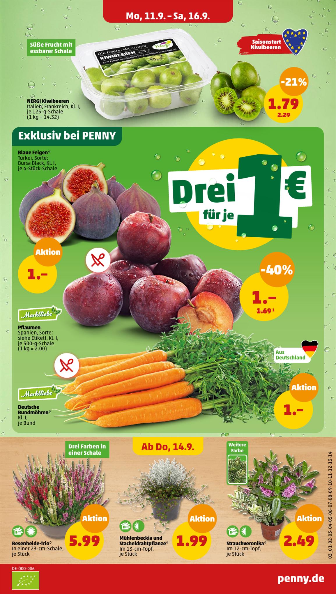 Penny Prospekt 11 - 16 September 2023 - WProspekte