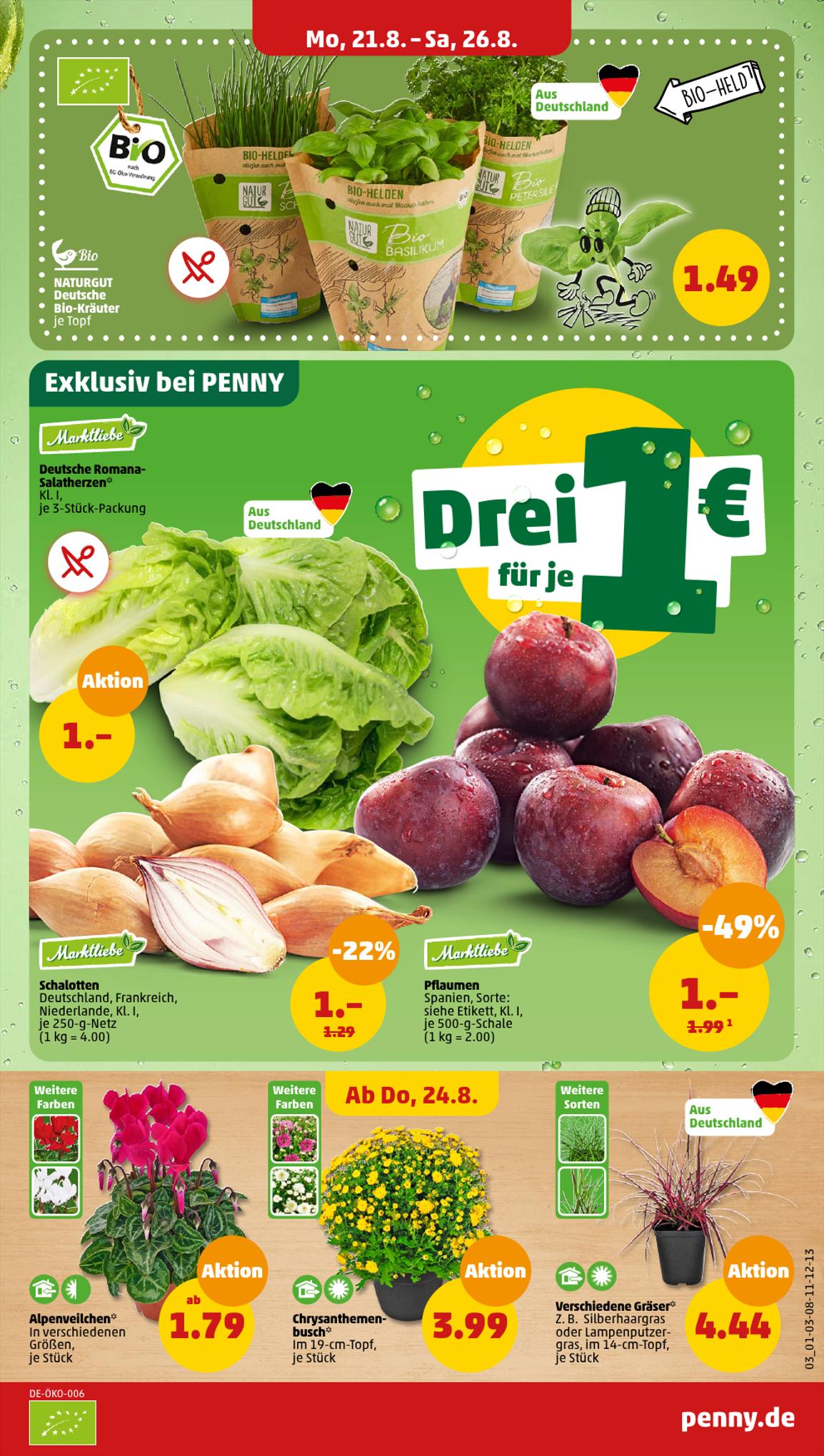 Penny Prospekt 21 - 26 August 2023 - WProspekte